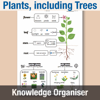 Y1 Science (Plants, including Trees) Knowledge Organiser KO – CUSP ...