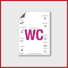 Y2 History (Events Beyond Living Memory - Great Fire of London) Word ...