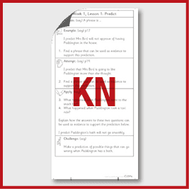 Y2 Reading (Paddington 2) Knowledge Notes KN