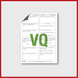 Y3 Science (Rocks) Vocabulary Questions VQ