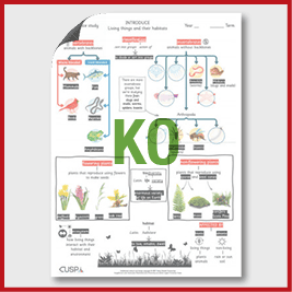 Y4 Science (Living Things and Their Habitats) Knowledge Organiser KO